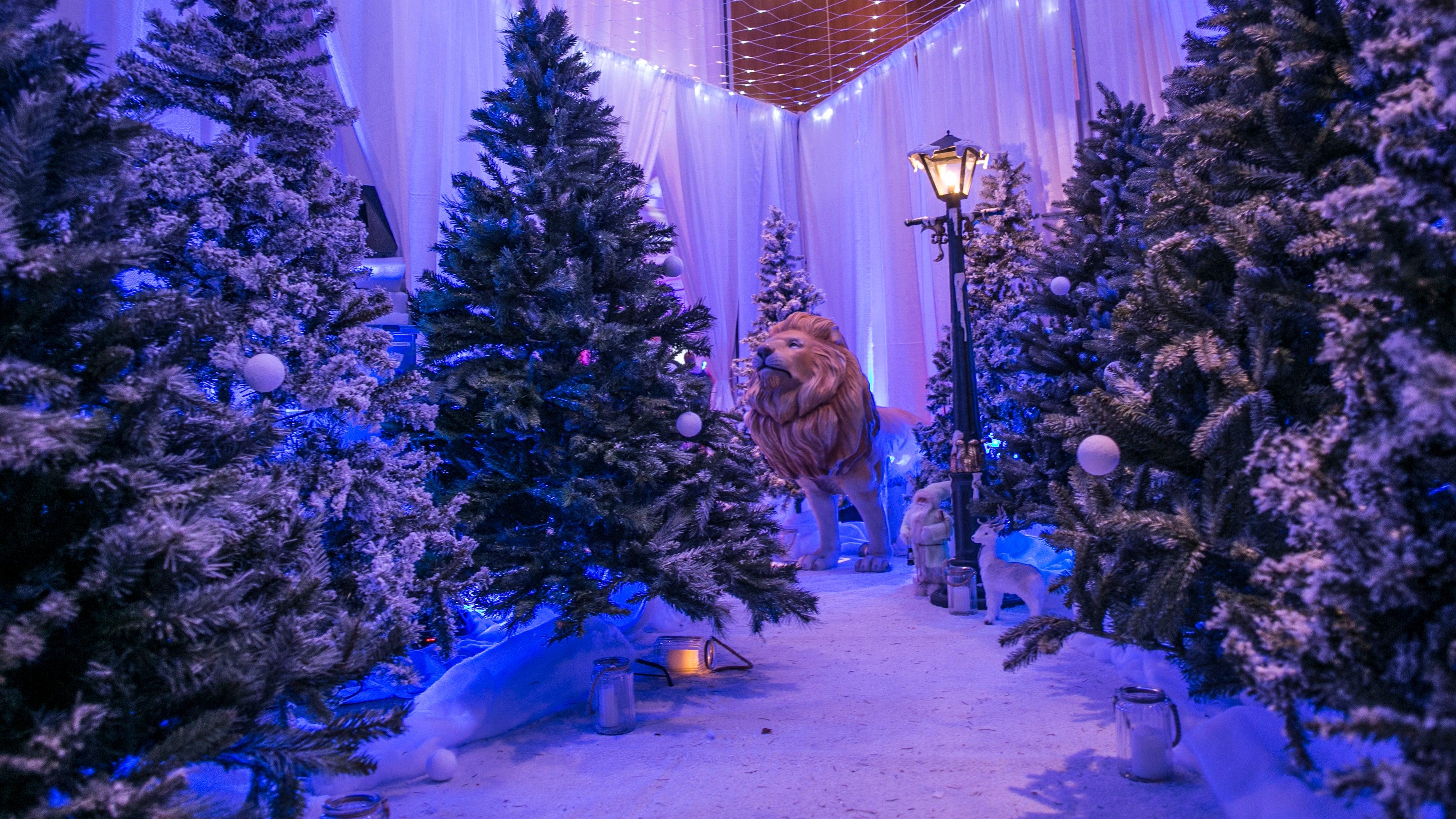 Themes and Props – Event Rentals